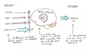 Why You Cram for Exams (and How to Stop) - Scott H Young