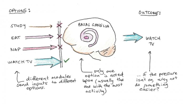 Why You Cram for Exams (and How to Stop) - Scott H Young