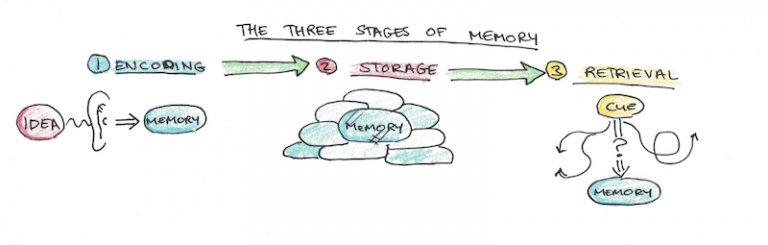 The Complete Guide to Memory - Scott H Young