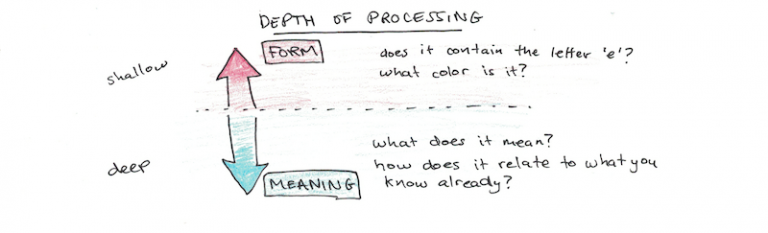 The Complete Guide to Memory - Scott H Young