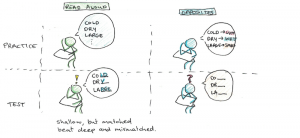 The Complete Guide to Memory - Scott H Young