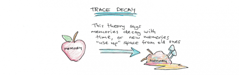 The Complete Guide to Memory - Scott H Young