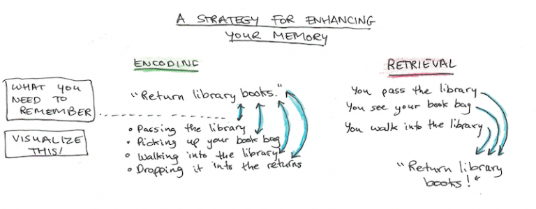 The Complete Guide to Memory - Scott H Young