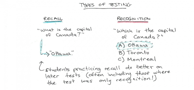 The Complete Guide to Memory - Scott H Young