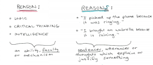 Unraveling the Enigma of Reason - Scott H Young