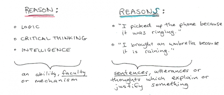 Unraveling the Enigma of Reason - Scott H Young