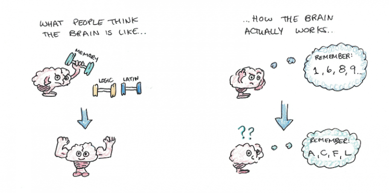 How to Improve Critical Thinking - Scott H Young