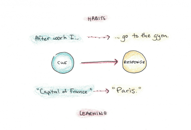 The Hidden Connection Between Habits and Learning - Scott H Young