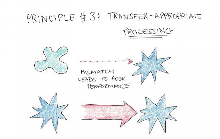 Five Scientific Steps to Ace Your Next Exam - Scott H Young