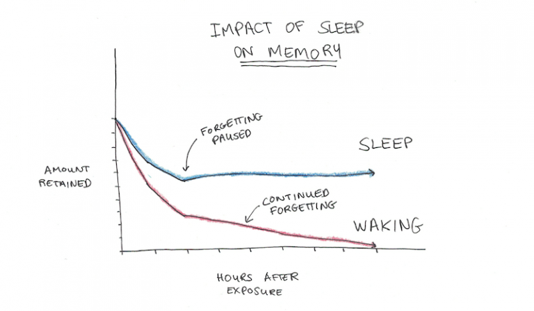 The Most Powerful Learning Tool (That Doesn't Involve Studying) - Scott ...