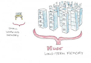 Working Memory: A Complete Guide to How Your Brain Processes Information, Thinks and Learns ...