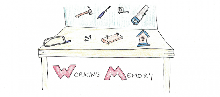 Working Memory: A Complete Guide to How Your Brain Processes ...