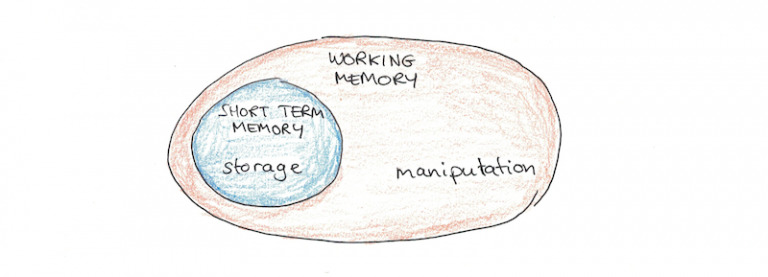 Working Memory: A Complete Guide to How Your Brain Processes ...