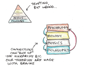 The World is a Hierarchy, Our Theories Aren't - Scott H Young
