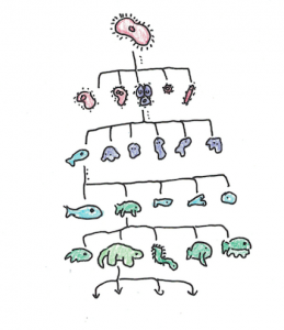 Useful Mental Model: Evolution by Natural Selection - Scott H Young