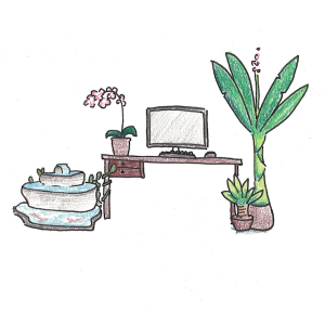 The 7 Essential Rituals for Focused Work - Scott H Young