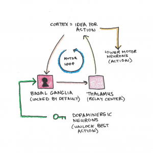 The Complete Guide to Motivation - Scott H Young