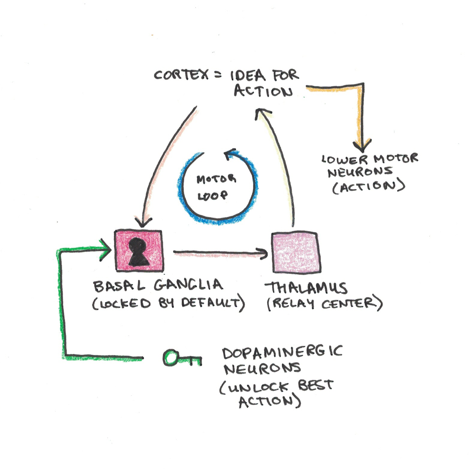 The Complete Guide to Motivation - Scott H Young