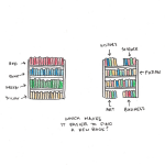 How to Take Notes - Scott H Young