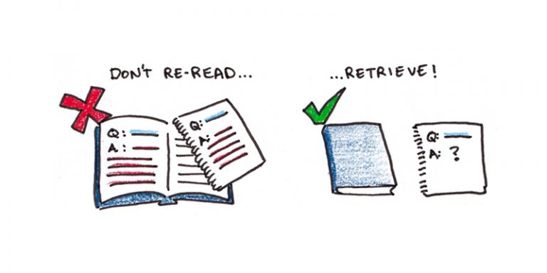 The 10 Essential Strategies for Deeper Learning - Scott H Young