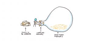 Cognitive Load Theory and its Applications for Learning - Scott H Young