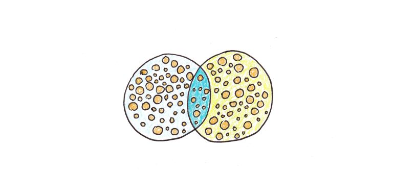 How Much Transfer Should We Expect Between Skills? - Scott H Young