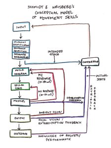 The Science of Learning Movement Skills - Scott H Young